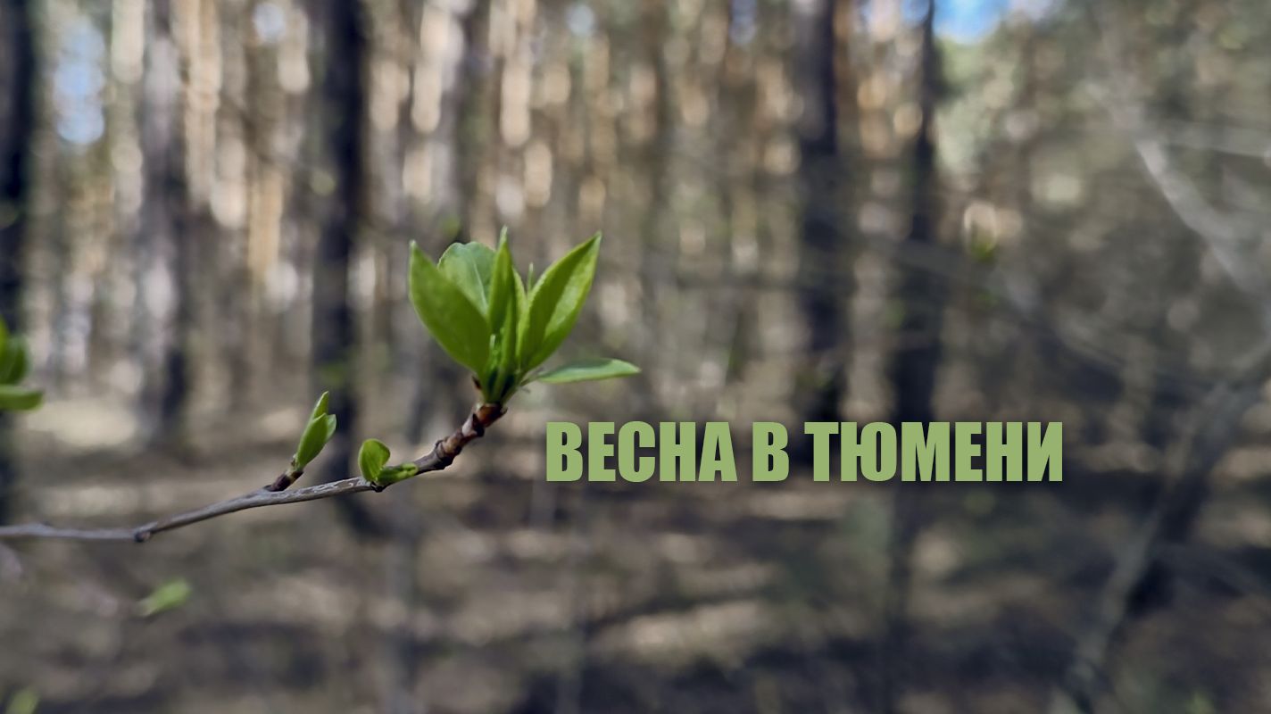 Весна в Тюмени