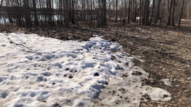 Весенняя апрельская прогулочка