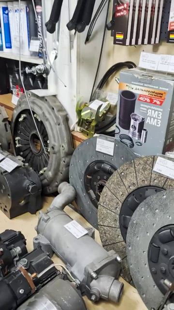 Новости со светланой выпуск 1