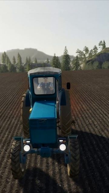 Самый популярный трактор Т 40👍