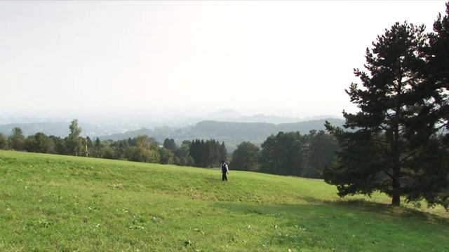 «Высоко чтимый профессор, глубоко обожаемый Луи. Людвиг Больцман»