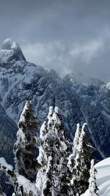 Какая красота 😍