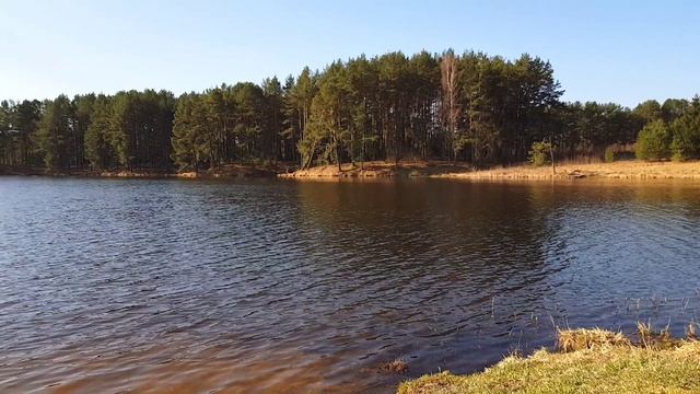 09▪️Речка весной в деревне▪️Футажи ▪️Красивая природа