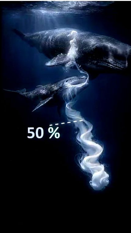 Самое питательное молоко в природе