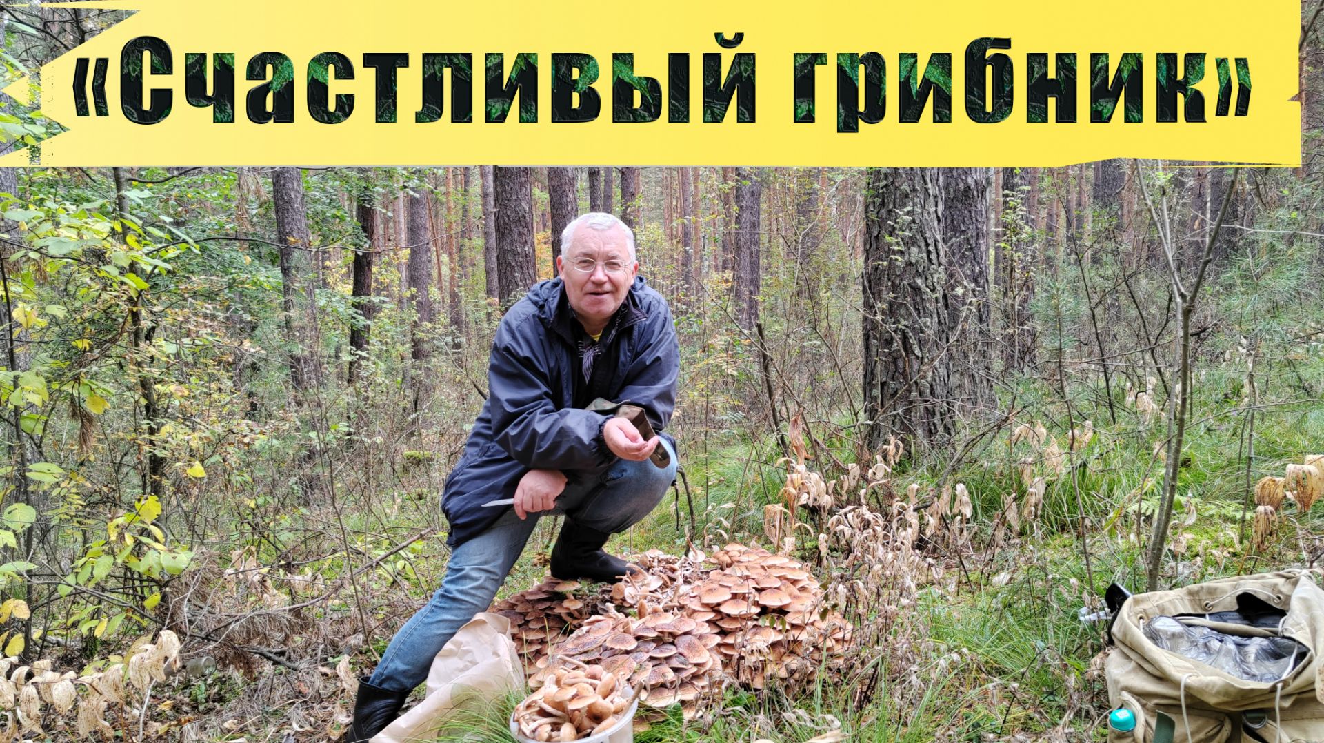 "Счастливый грибник" #собирать_грибы #бор #лес