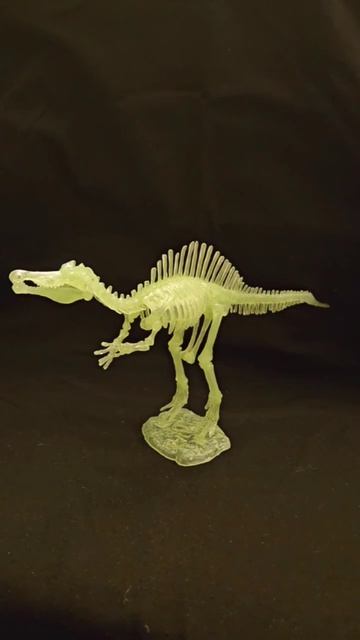 Светящийся скелет Спинозавра🦖!