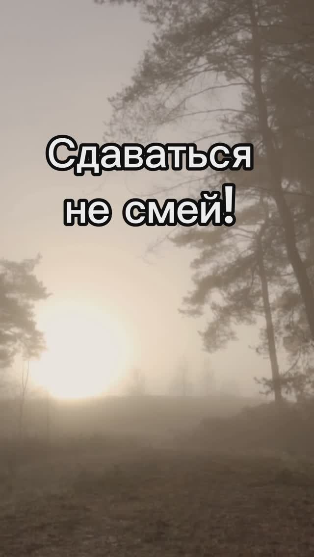 Сдаваться не смей!