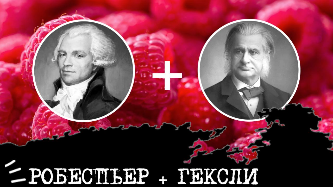 Робеспьер (ЛИИ, INTJ) + Гексли (ИЭЭ, ENFP), анализ отношений