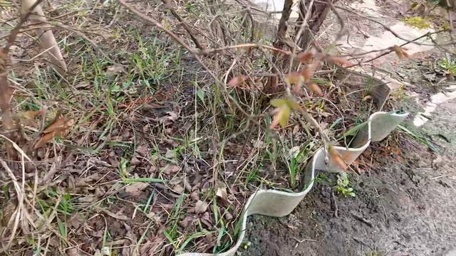 ПОЕЗДКА НА ДАЧУ 17.04.26