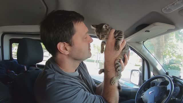 Котенок Барс на скоростной трассе.