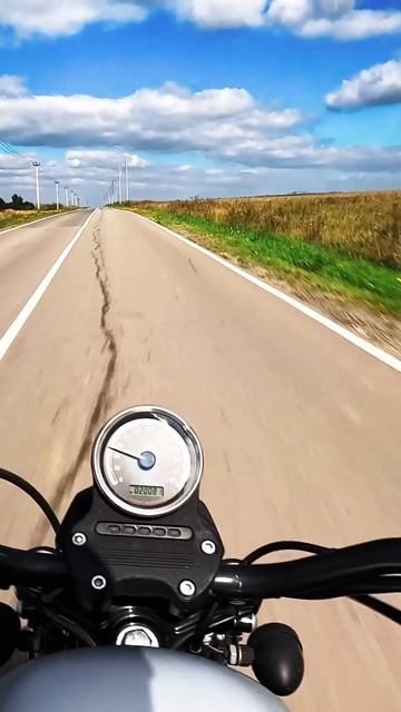 Катаюсь по красивым местам на Harley Davidson Sportster 1200