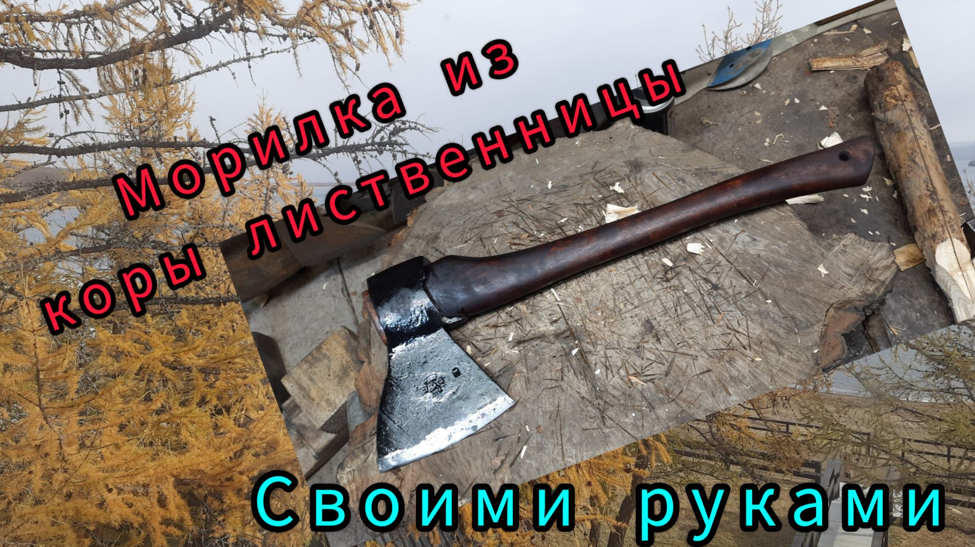 Морилка из коры лиственницы своими руками