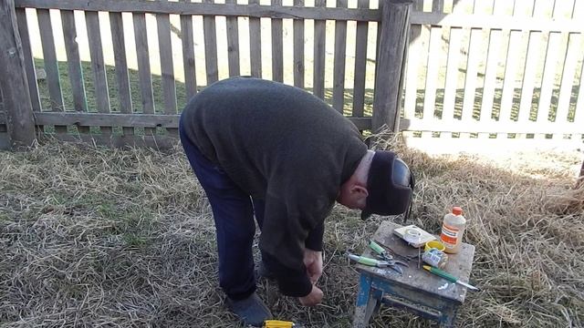 Не понравившиеся  прививки к подвоям яблонь привои