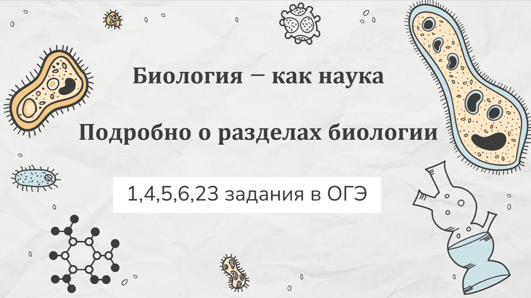 🐱Подробно о разделах биологии🐱