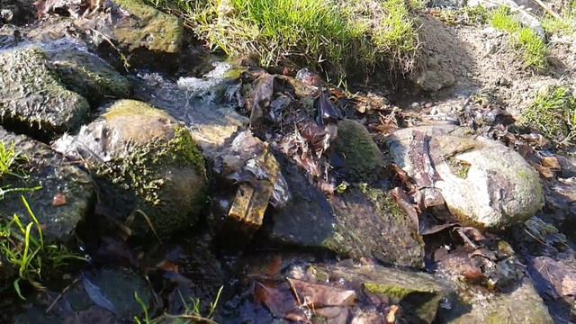 011▪️Весенний ручей▪️Футажи ▪️Красивая природа