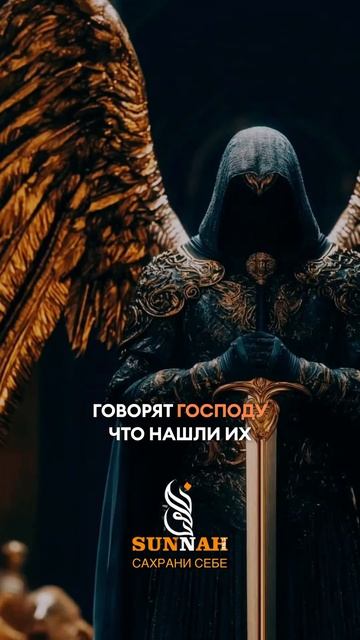 Ангелы привязанные к людям. Часть-2 #ангелы #хадис #хадистер #намаз #angels #hadis