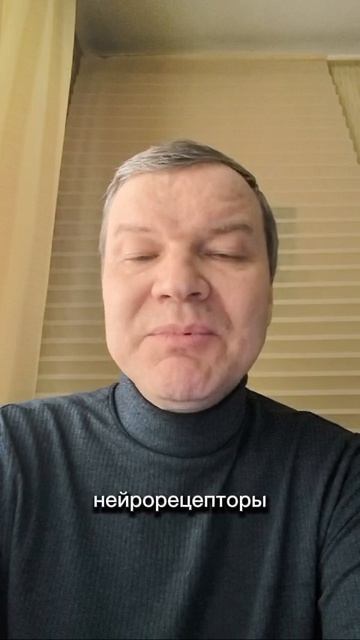 На чём работает ваш мозг: на кортизоле от долгов или на дофамине от свободы?