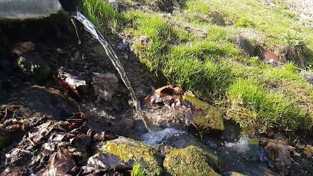 010▪️Весенний ручей▪️Футажи ▪️Красивая природа