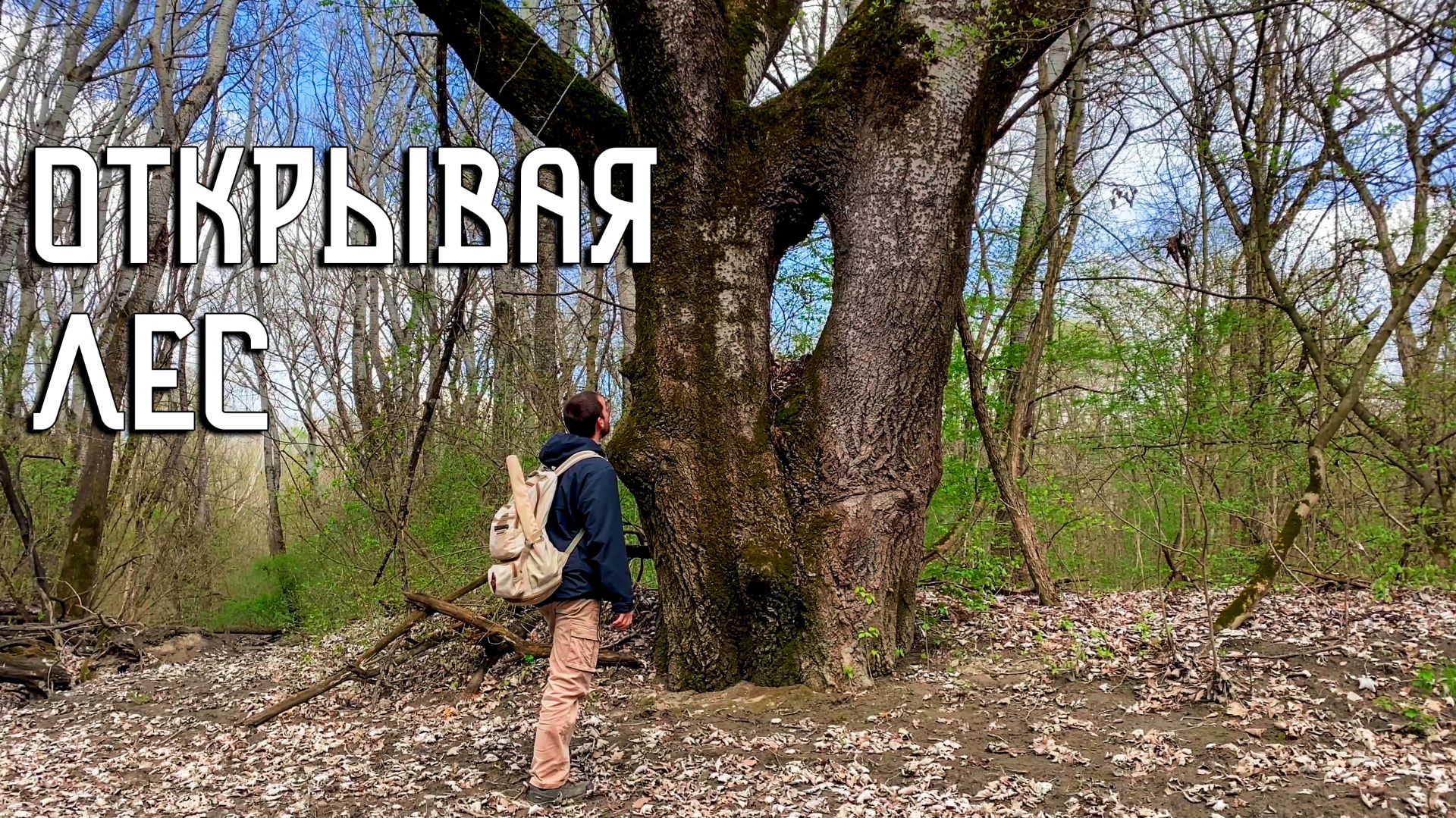 Исследую пересохшее русло в лесу / Пойменный лес и его тропы