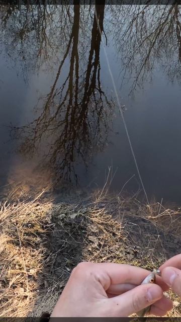 Микро - плотвичка на мормышинг! Открытие сезона, видос уже на канале! Рыбалка на ручье!