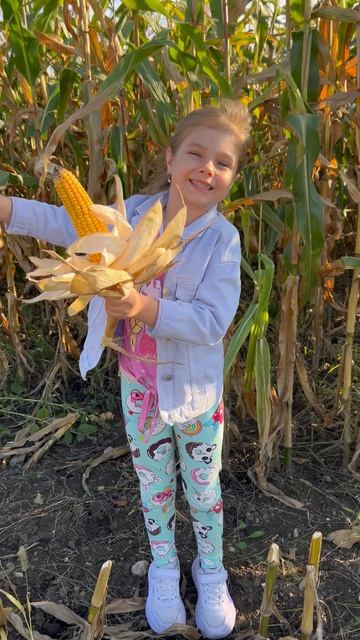 Смешное видео