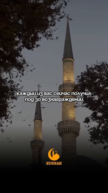 #зикр #хадис #напоминание #намаз