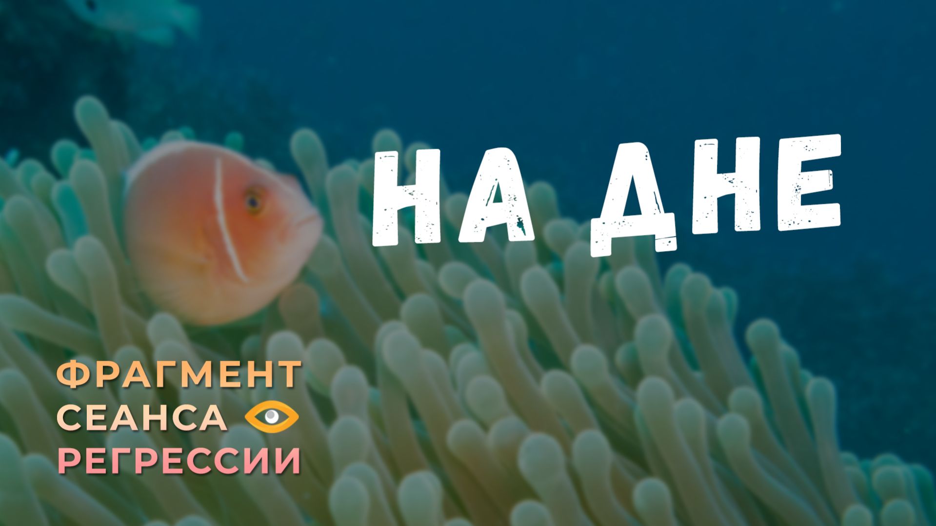 Регрессии. Открытия. Возможности. Результаты. "На дне"