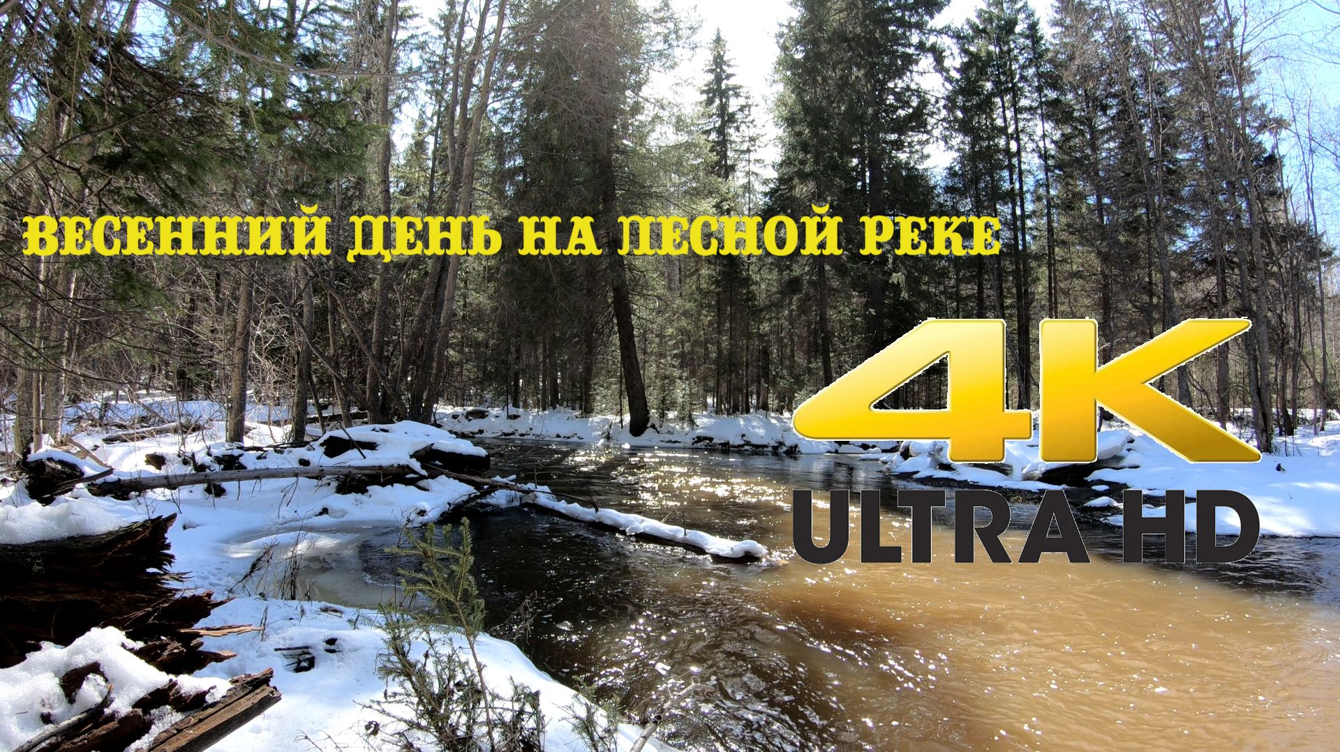 Весенний день на лесной Уральской реке. Релакс. (4K Ultra HD)