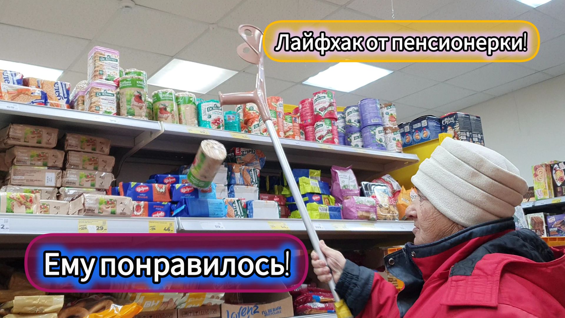 14.11.2024 Он появился внезапно!😯ТУМАН!🌫САЙМОН одобрил!🐈