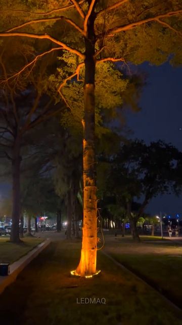 Грунтовой ландшафтный светильник для круговой подсветки колонн и деревьев серия SM и BS