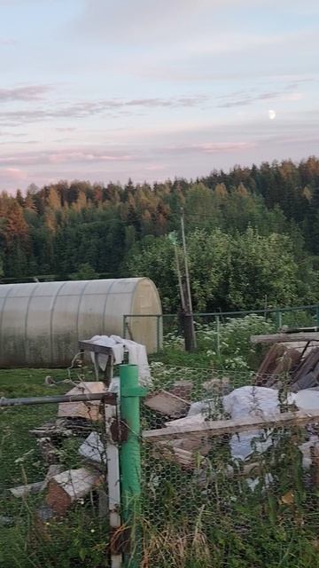 GAVgozero ©20250705