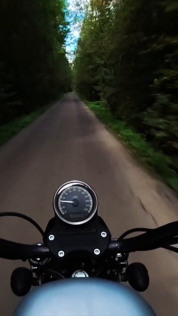 Заблудился в лесу на Harley Davidson Sportster 1200