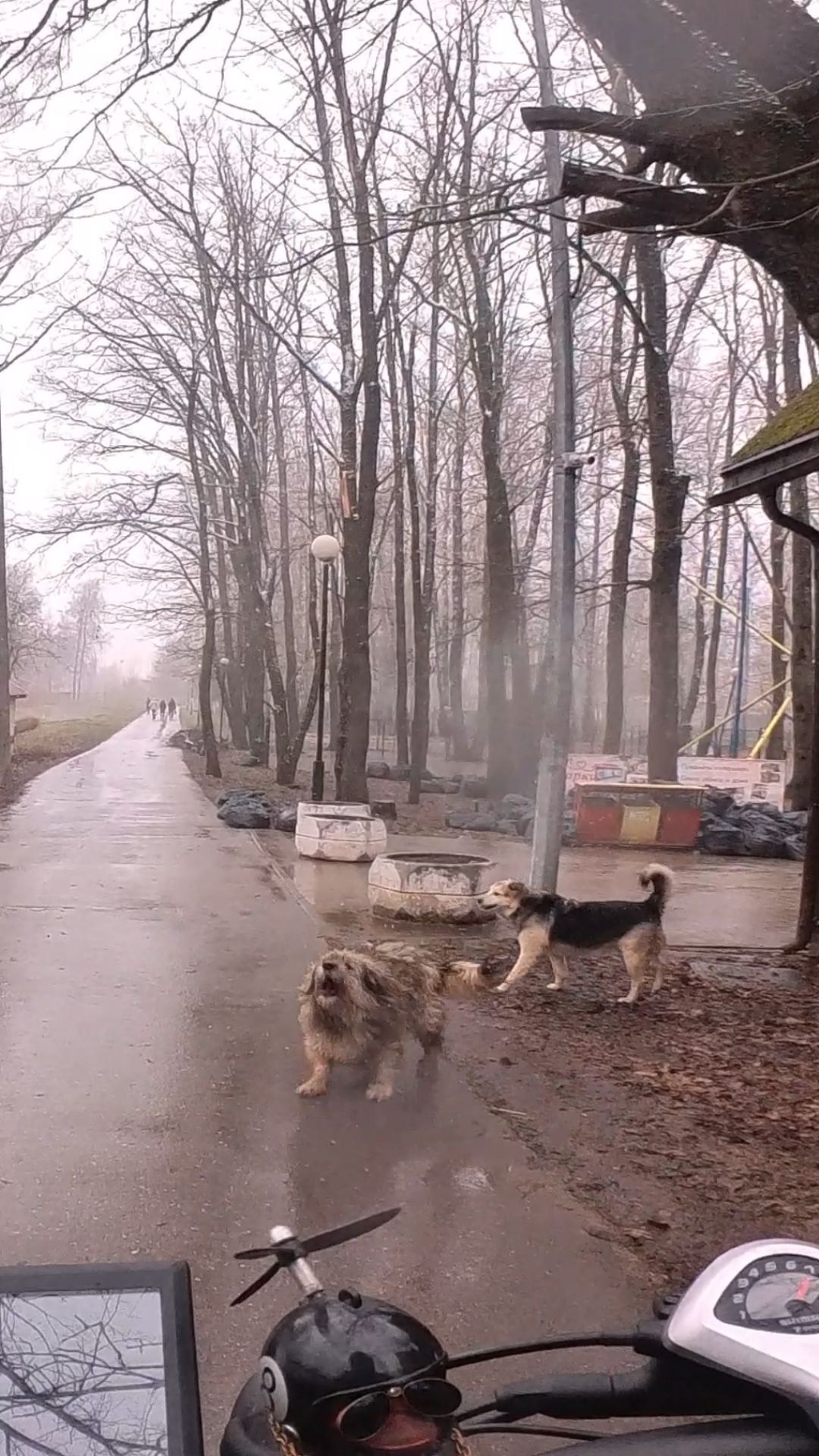 Когда наконец дождалась весну и выбираешь маршрут для покатушек