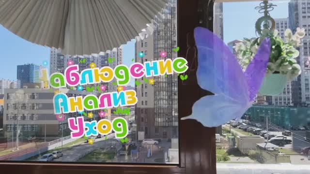 20 04.26🌸Снова радуюсь🎉и улыбаюсь ☺️