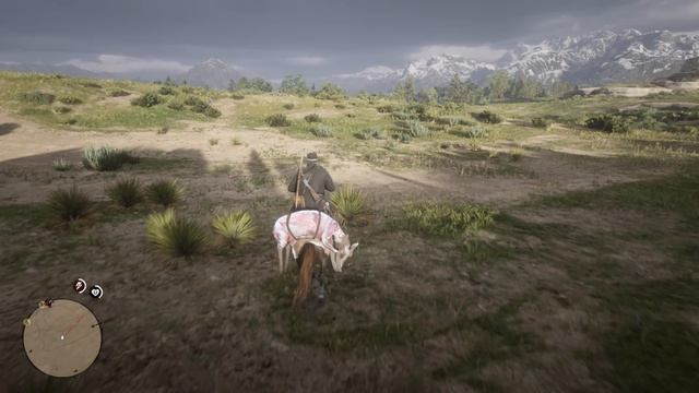 Red Dead Redemption 2 часть 7