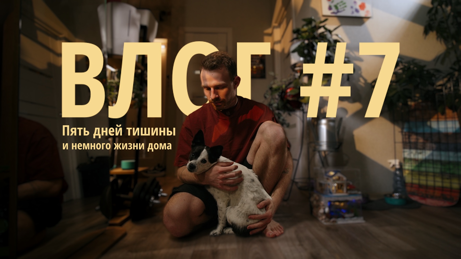 ВЛОГ #7