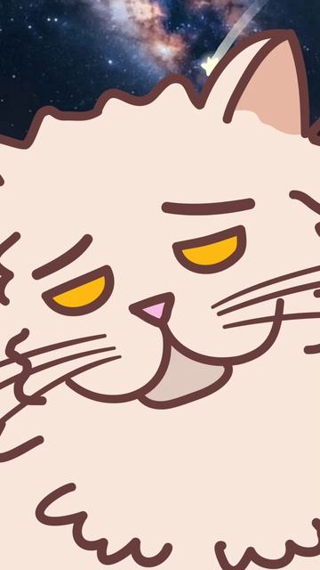 Скорее загадывай желание🌠#animation #анимация #котики #космос #звезда