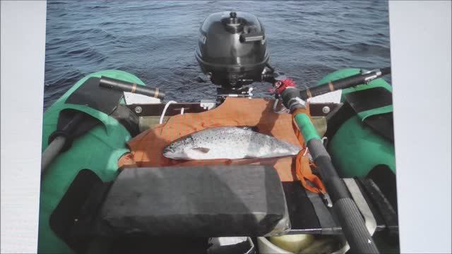 О рыбалке. Кумжа. Кольский п-ов. Коротко не получилось.