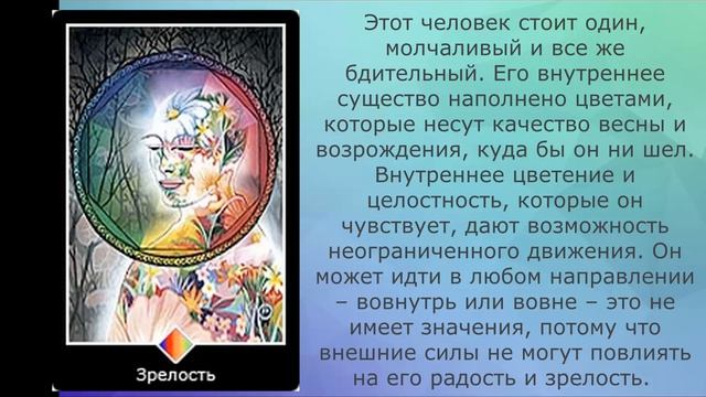 карта дня