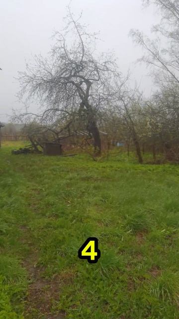 Мёд🍯 и пчёлы🐝 по ссылке в описании