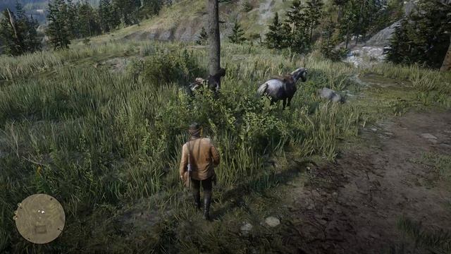 Red Dead Redemption 2 Исследуем хижины рядом с Валентайном, и помогаем отбиться от бандитов  №10