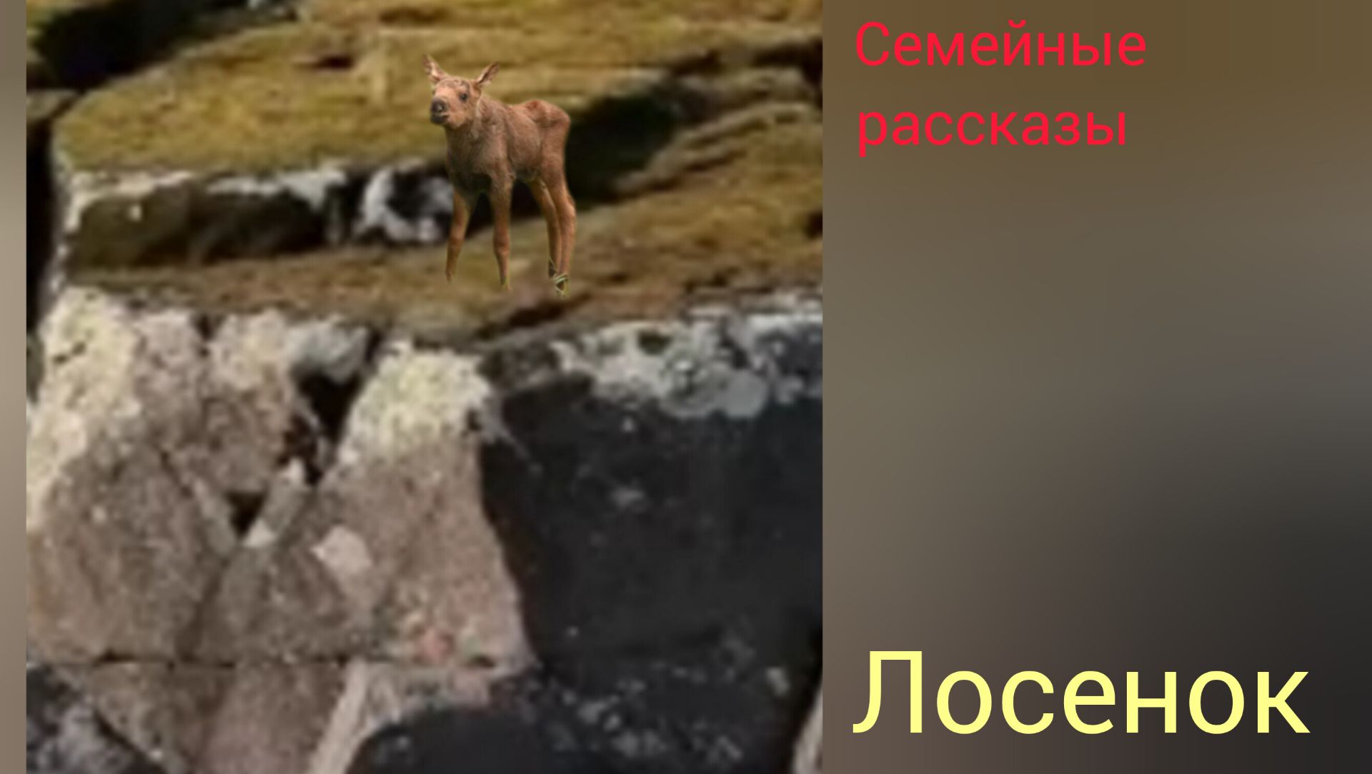 Лосенок.