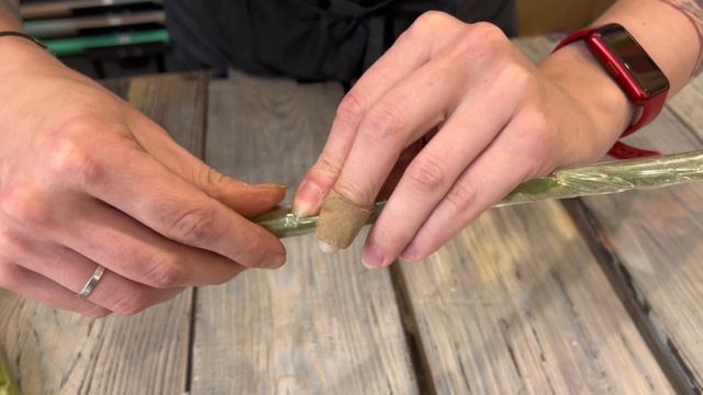 Хелиантус обмотка