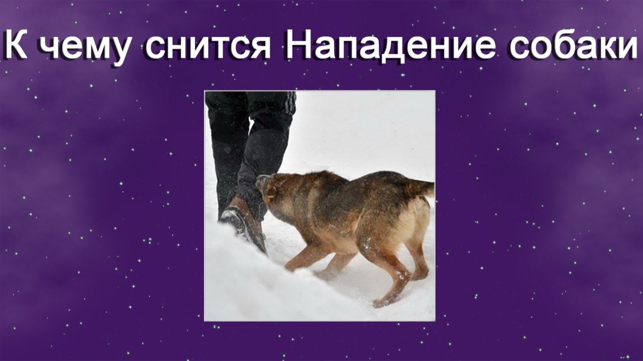 К чему снится Нападение собаки - толкование сна