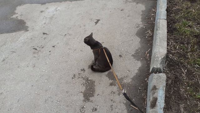На улице хорошо.