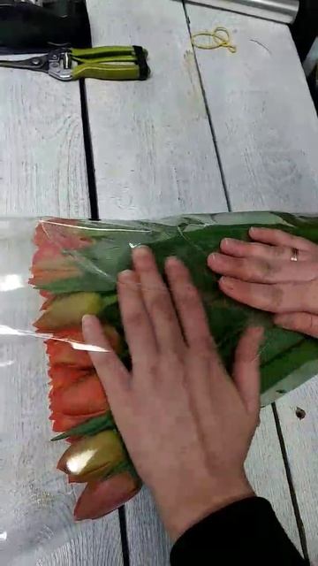 Выкладка тюльпанов