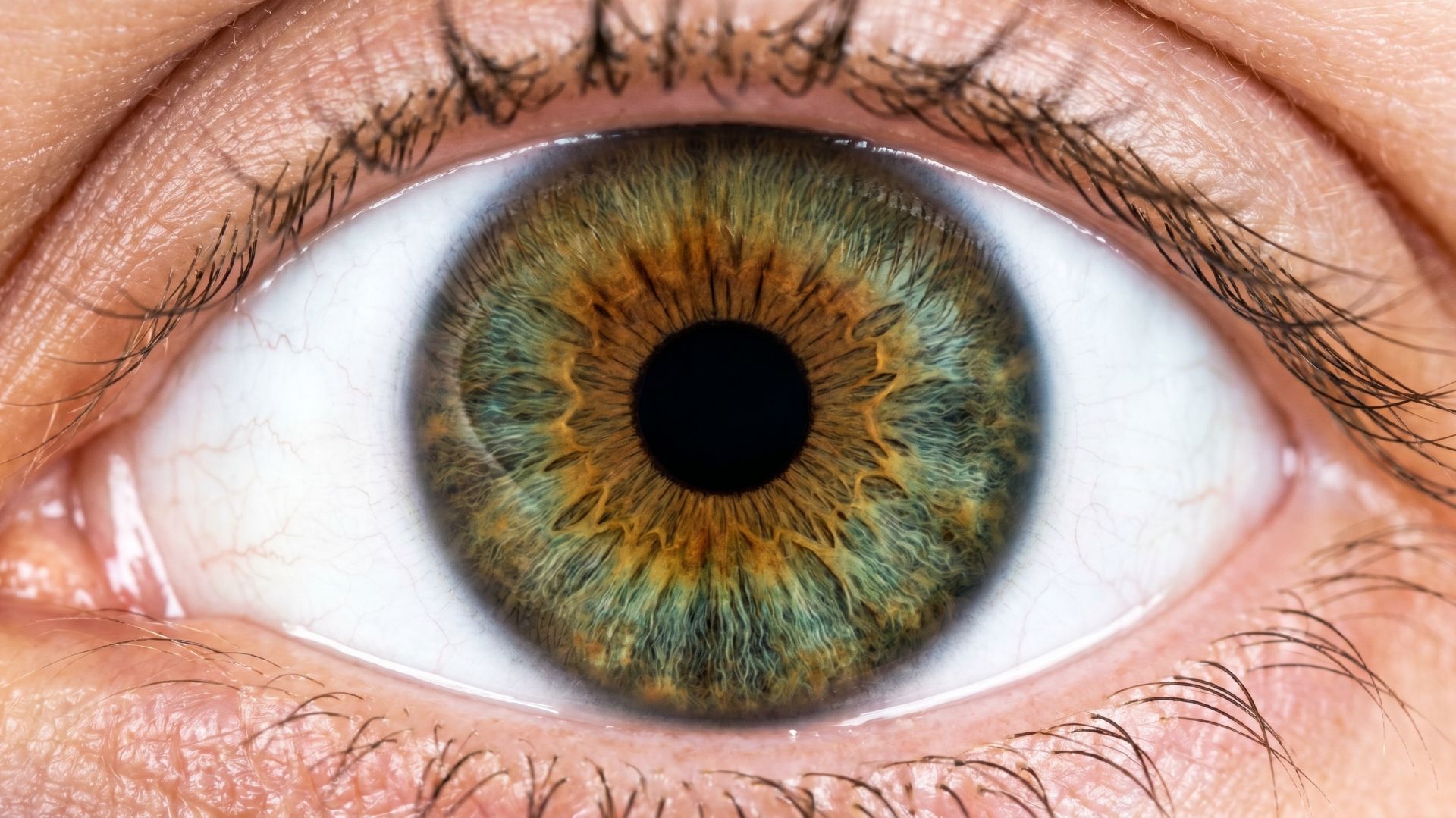 SEO сайт в топ яндекса LLM