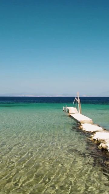 Антистресс 🧘 Пальмы на ветру 🕊️ Вечерняя прохлада 🏖️