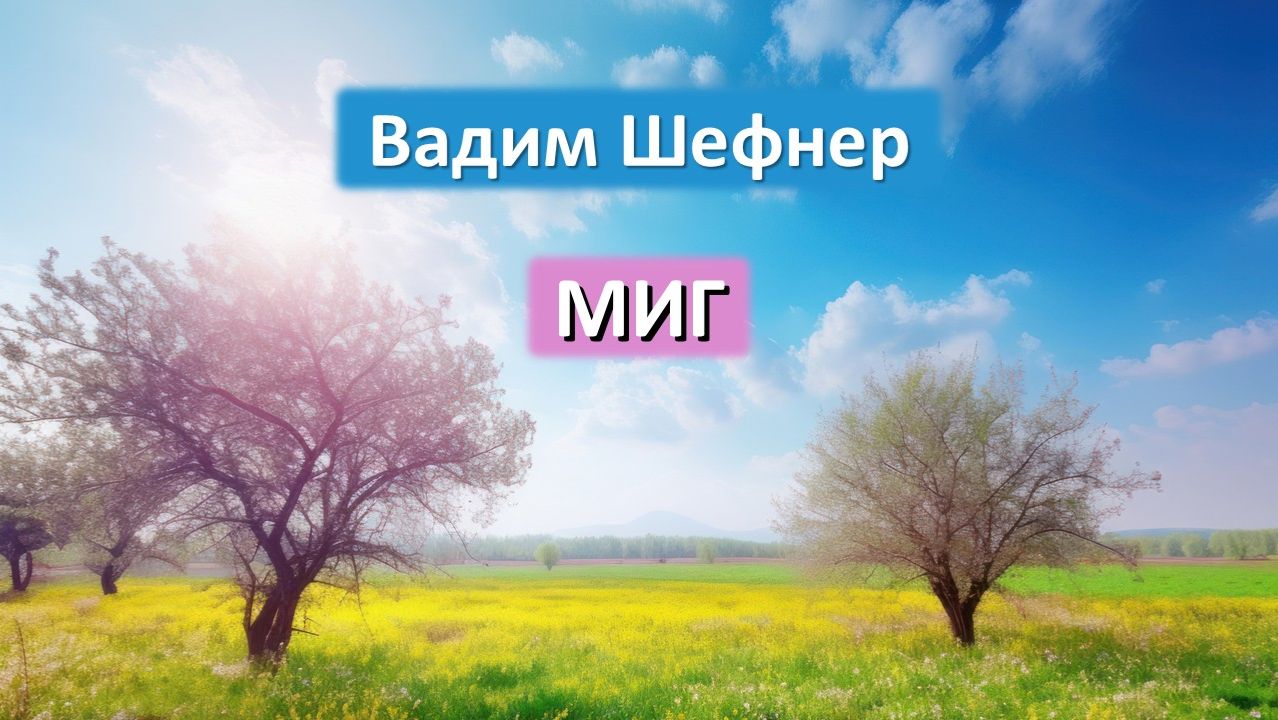Вадим Шефнер  МИГ