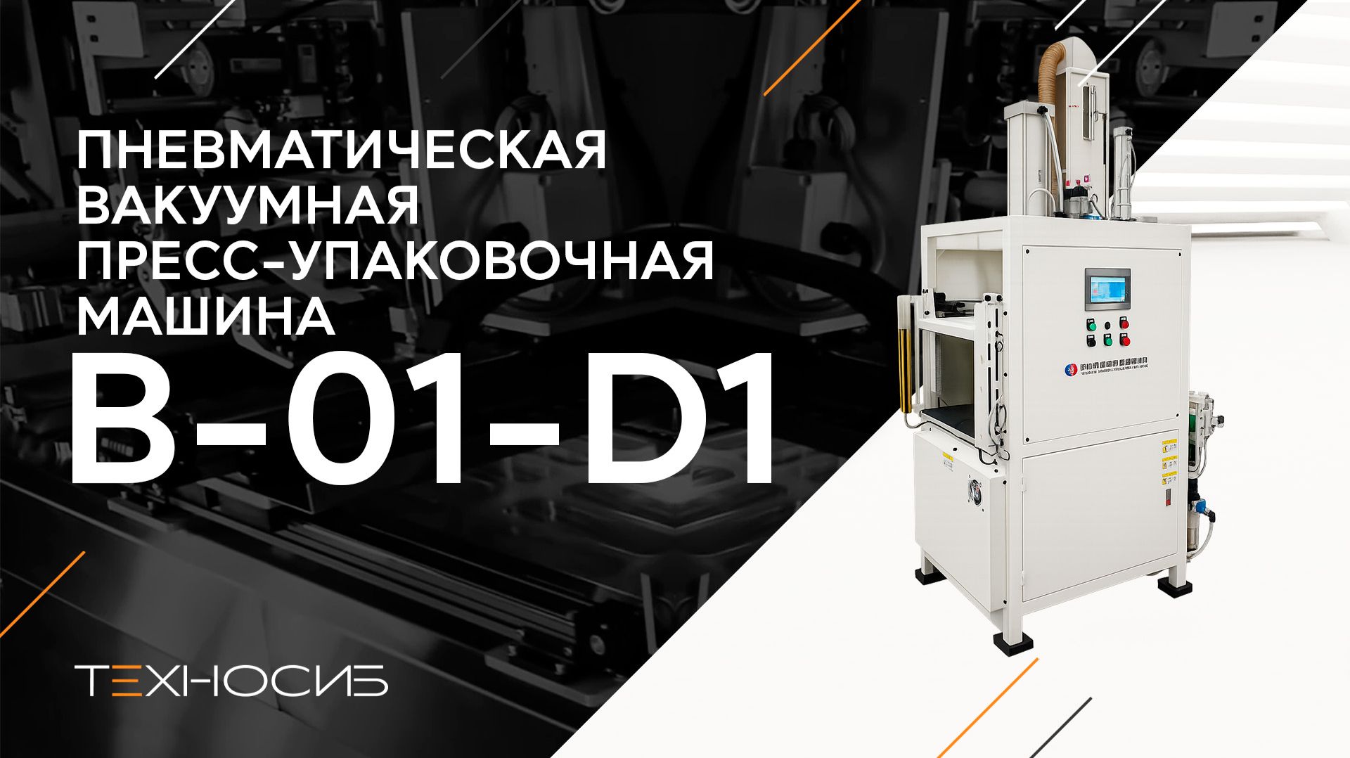 Пневматическая вакуумная пресс-упаковочная машина B-01-D1